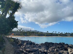 Napili Bay | Best Beaches In Lahaina To Visit